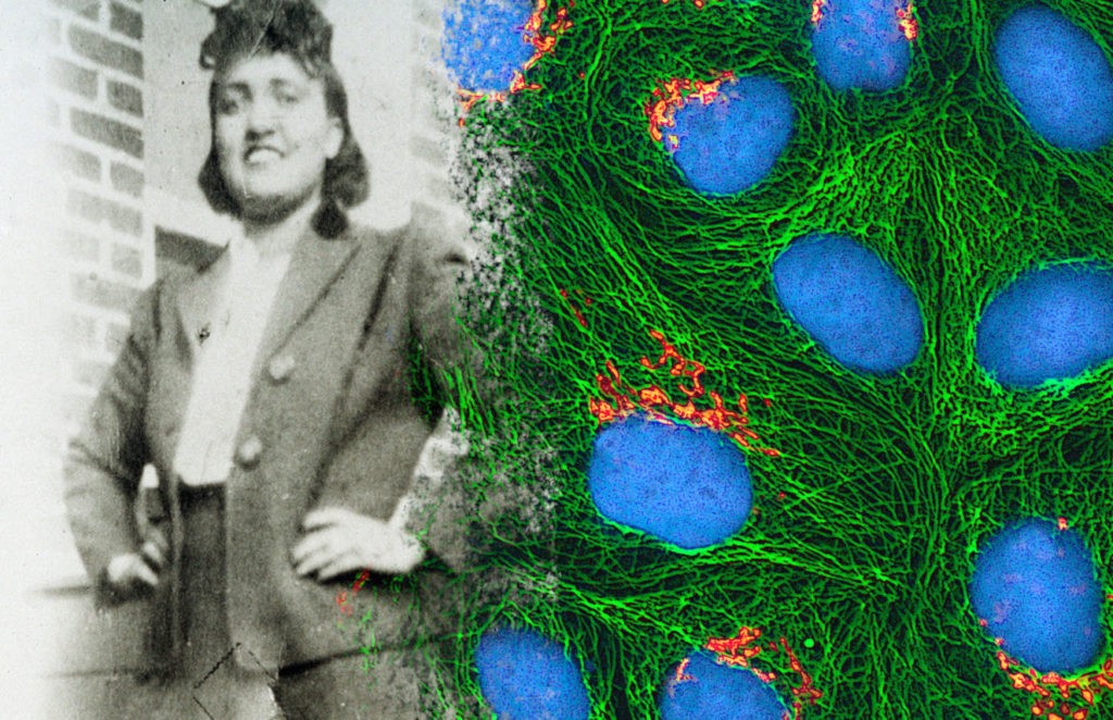 The Woman Behind the HeLa Cells - Leakshare