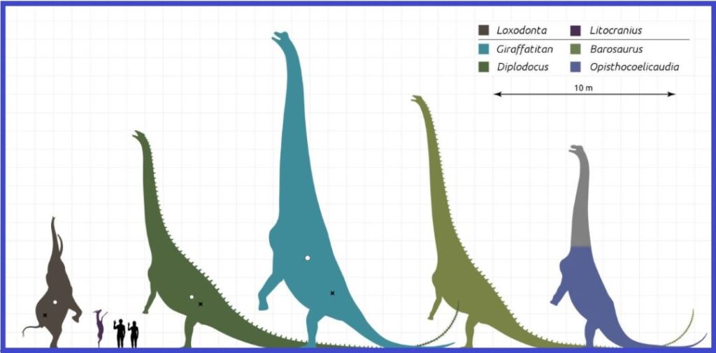 The Biggest Titanosaurus Fossil Discovered Leakshare