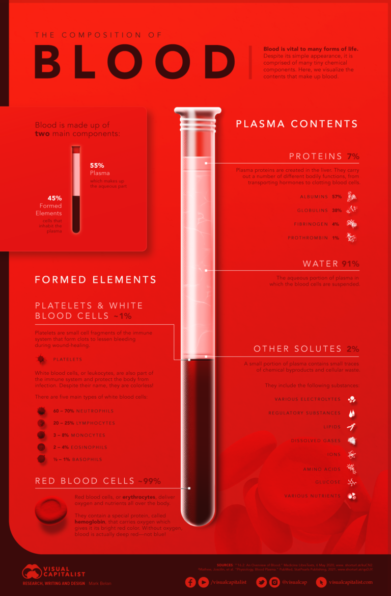 Visualizing the Composition of Blood - Leakshare